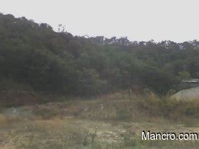 Lote Terreno En Venta Km 24 Carretera Al Atlantico Zona 18 Guatemala
