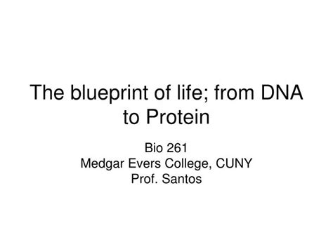 Ppt The Blueprint Of Life From Dna To Protein Powerpoint