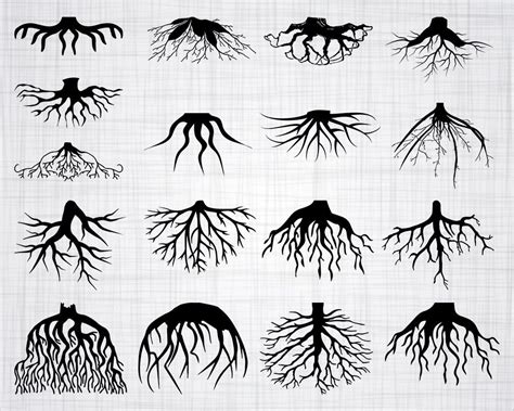 Roots Svg Bundle Roots Svg Roots Clipart Roots Cut Files For