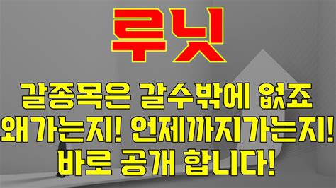 루닛 왜 가는지 언제까지 가는지 전부 공개 합니다 YouTube