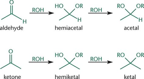 Chapter Organic Chemistry Flashcards Quizlet