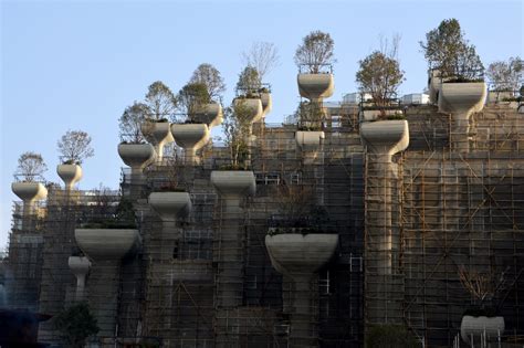 Dónde se encuentran los Jardines Colgantes de Babilonia y qué pasó con