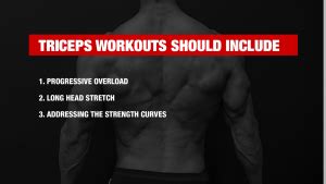Arm Workouts Exercises For Muscle Strength Athlean X
