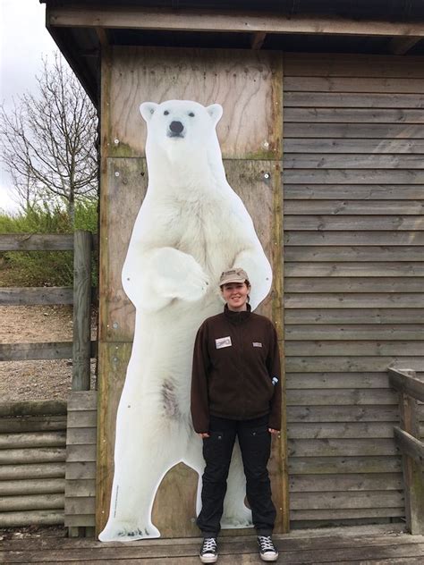 We Donated This Polar Bear Imagetaken During A Polar Sea Icebreaker