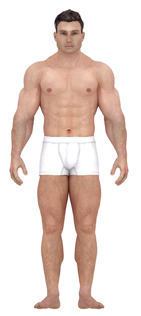 Como O Ideal Do Corpo Masculino Mudou Em Anos