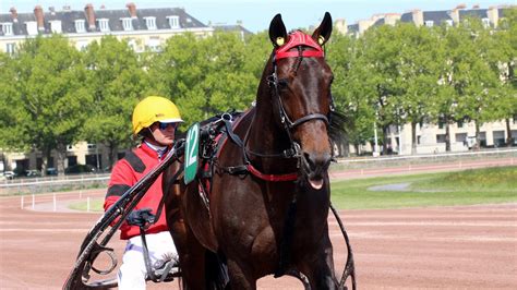 Pronostic Quint Pmu Du Dimanche R C