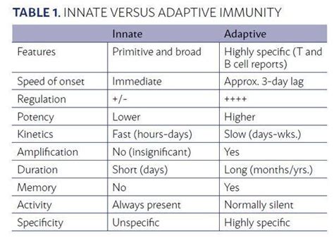 Innate And Adaptive Immunity Medizzy