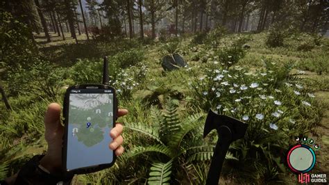 Sons Of The Forest Best Base Locations Creative And Survival Modes