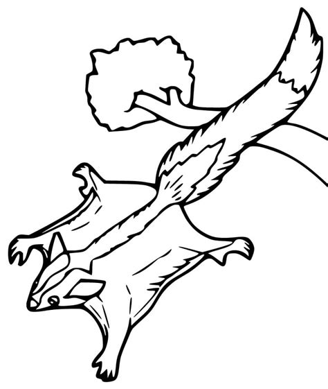 Printable Sugar Glider Coloring Pages Coloring Cool