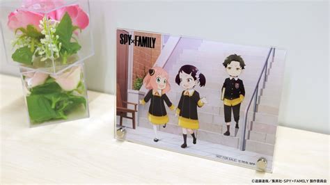 TOHO animation STORE on Twitter SPY FAMILY 第2クールBDDVD予約受付中 今期