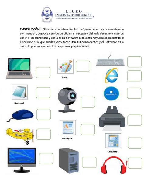 Actividad Online De Hardware Y Software Para Primero De Primaia Puedes