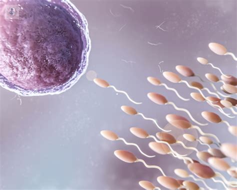 Fecundación In Vitro Un Tratamiento de Reproducción Asistida Top Doctors