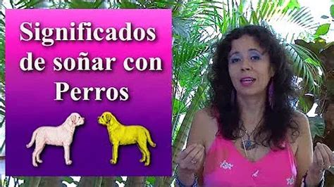 Qué significa soñar que un perro te muerde Universidad Interamericana