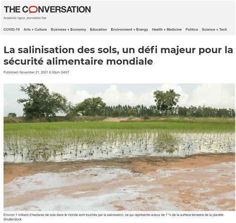 Sénégal des déclarations sur la population établie à létranger et