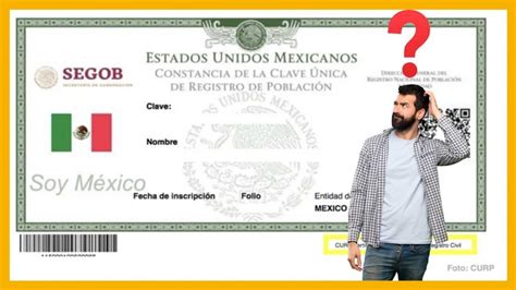 Por Qu Mi Curp No Est Certificada Y C Mo Solucionarlo