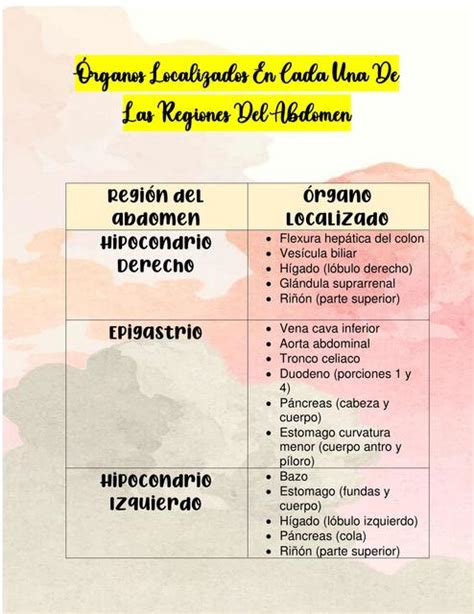 Órganos Localizados En Cada Una De Las Regiones Del Abdomen Vázquez
