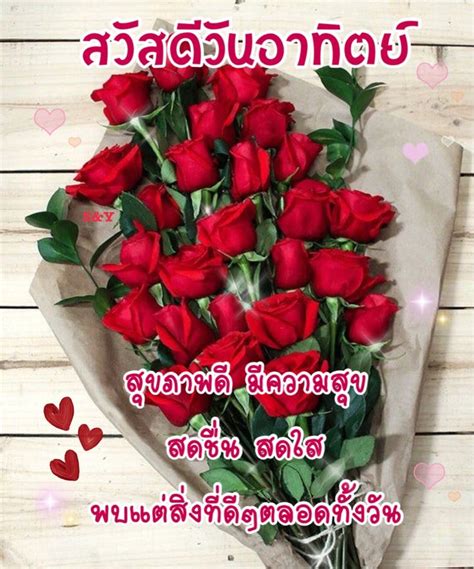 ปกพนโดย Terawan ใน Nice day วนอาทตย คำคมรปภาพ วอลเปเปอรขำๆ
