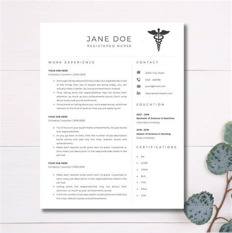 Nurse Resume Template CV For Google Docs Word Medical Doctors