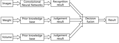 the model of decision fusion download scientific diagram