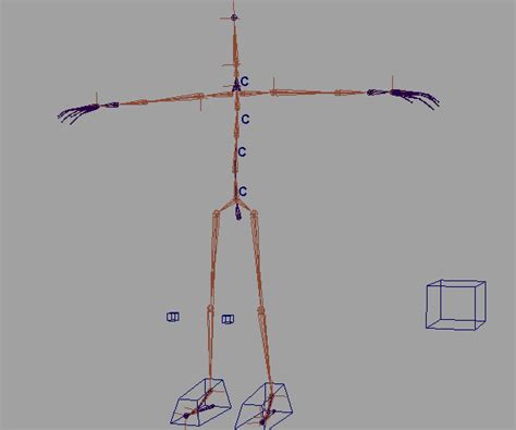 Building A Complete Human Character Rig In Maya Spinal Controls