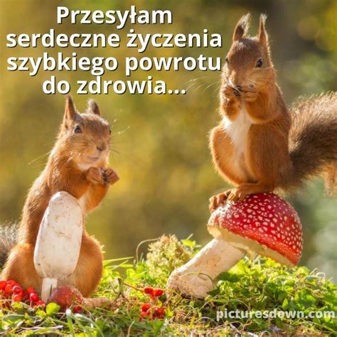 Obrazek życzenia szybkiego powrotu do zdrowia śmieszne stojący kot