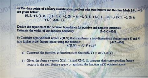 solved a the data points of a binary classification problem