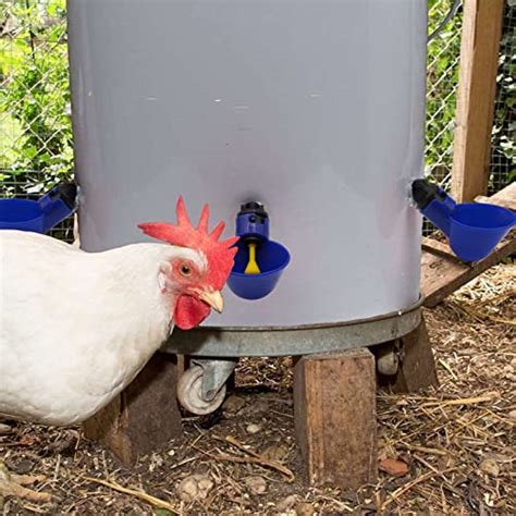 Muyirted Pi Ces Abreuvoir Poules Tasses Plastique Bol Abreuvoir