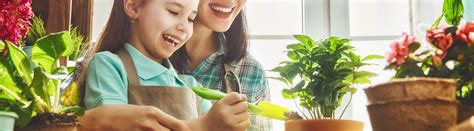 Edye Beneficios De Tener Un Huerto En Casa
