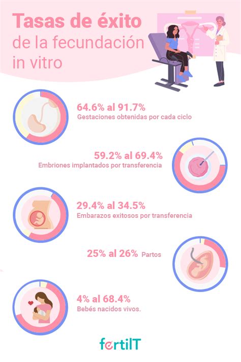 Qu Tasas De Xito Tiene La Fecundaci N In Vitro