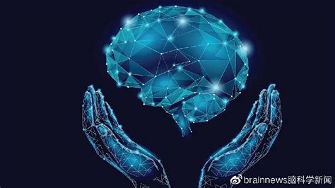浙江大学脑科学与脑医学学院2023年重要科研成果汇编 汇编 脑科学 浙江大学 新浪新闻