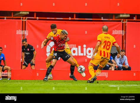 MALLORCA SPAIN SEPTEMBER 3 Dani Rodriguez Of RCD Mallorca Between