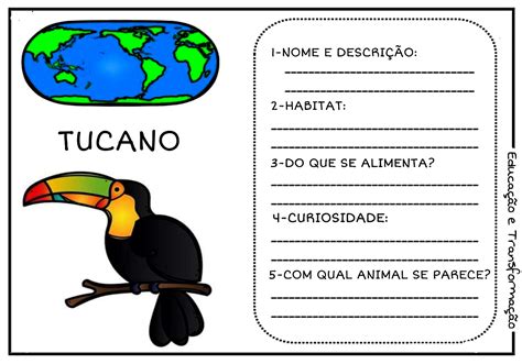 Blog Educa O E Transforma O Animais Ficha T Cnica