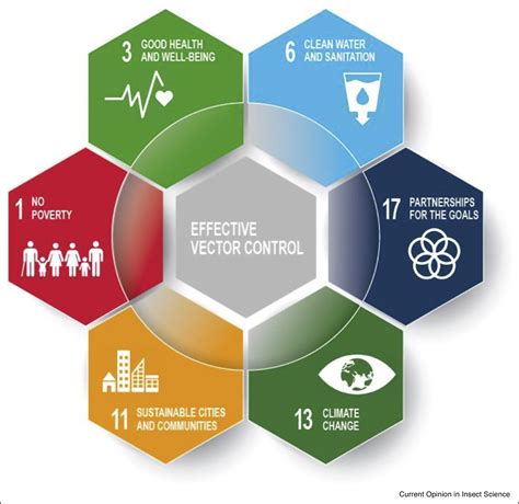 Symbiosis Sustainable Development Goals Resource Centre