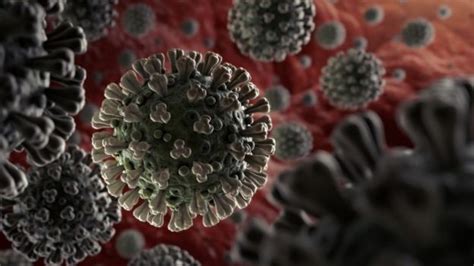Coronavirus cuánto tiempo sobrevive el virus causante de covid 19 en