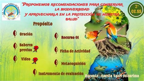 Sesi N Sem Proponemos Recomendaciones Para Cuidar La Biodivers