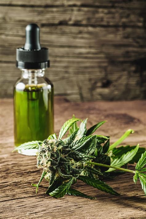 Jak wybrać dobry olej CBD Podpowiadamy Ding pl
