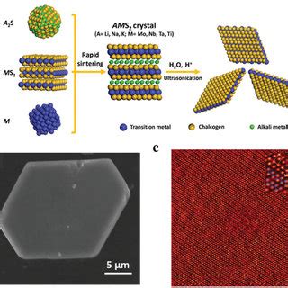 A Calculated Band Structure Of 1T MoS 2 Monolayer E G Fundamental