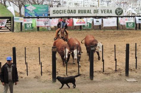 FM Vida Fortin Olmos Catalogaron De Bueno El Remate En La Expo De La