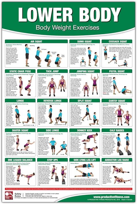 Bodyweight Training Posterchart Lower Body Body Weight Training Leg Workout Body Weight