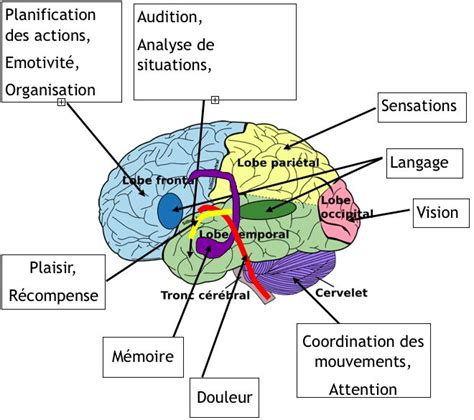 Épinglé sur Soins infirmiers