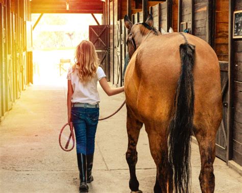 Equidassur Blog Sports Questres Et Ducation Du Cheval Jo Paris