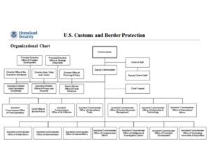 Cbp Org Chart 2020 2024 Fill And Sign Printable Template Online