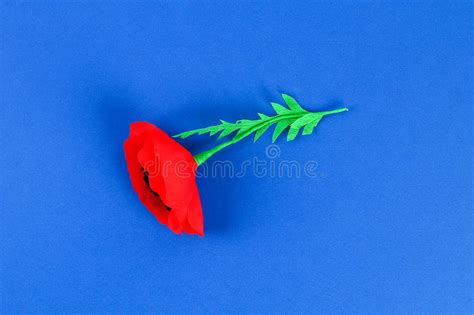 La Amapola Roja Anzac Day Conmemoraci N Del Papel De Diy Recuerda