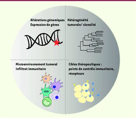 Les applications de la génomique à l étude de la biologie tumorale