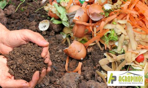 AGROPINOS Beneficios de los fertilizantes orgánicos en sus cultivos
