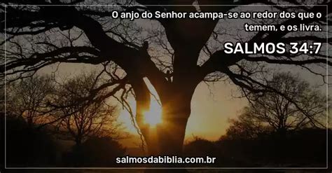 Salmo O Anjo Do Senhor Acampa Se Ao Redor Dos Salmos Da B Blia