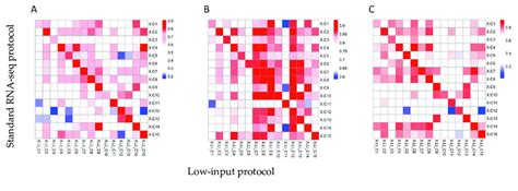 Heatmaps Illustrating The Correlation Between Gene Expression Levels