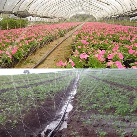Tuyau d irrigation goutte à goutte pour Agriculture Test et Avis