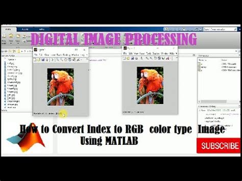How To Convert Index To RGB Color Type Image Using MATLAB YouTube