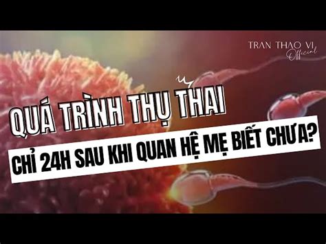 Quá trình thụ thai sau khi quan hệ Hiểu rõ để tăng cơ hội mang thai